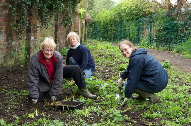 Walk This Way - Do Something Good